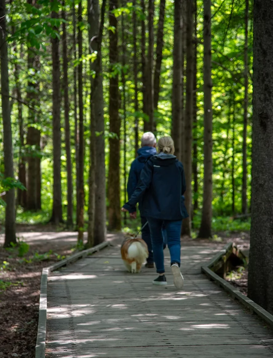 Healthy Aging Supplement Trends 2026 | Brand Guide | Albert Max, Inc.